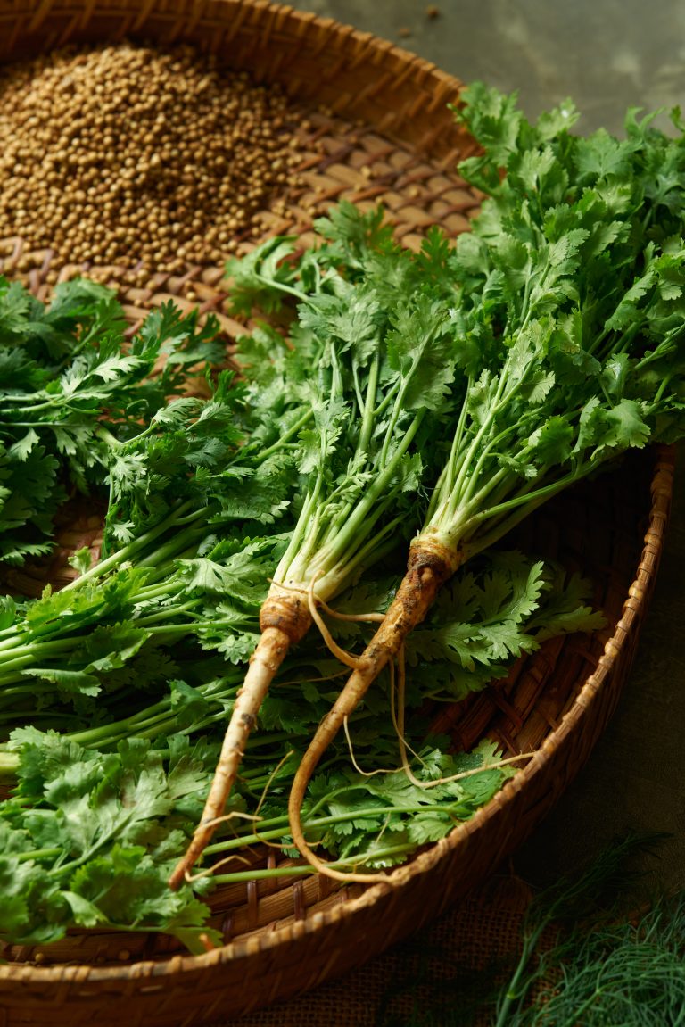 ผักชีไทย ผักชีลาว ผักชีฝรั่ง สามความเหมือนที่มีเอกลักษณ์ที่แตกต่าง - Baan Somtum